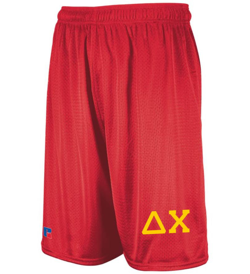 Delta Chi Mesh Short — GreekU