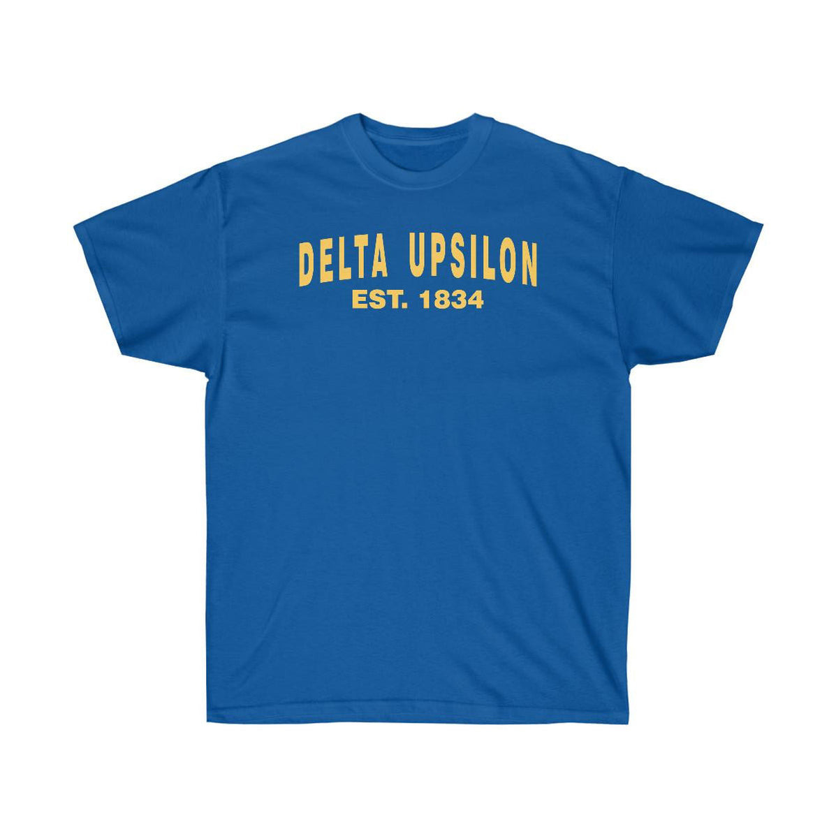 Delta Upsilon Established T-Shirt — GreekU