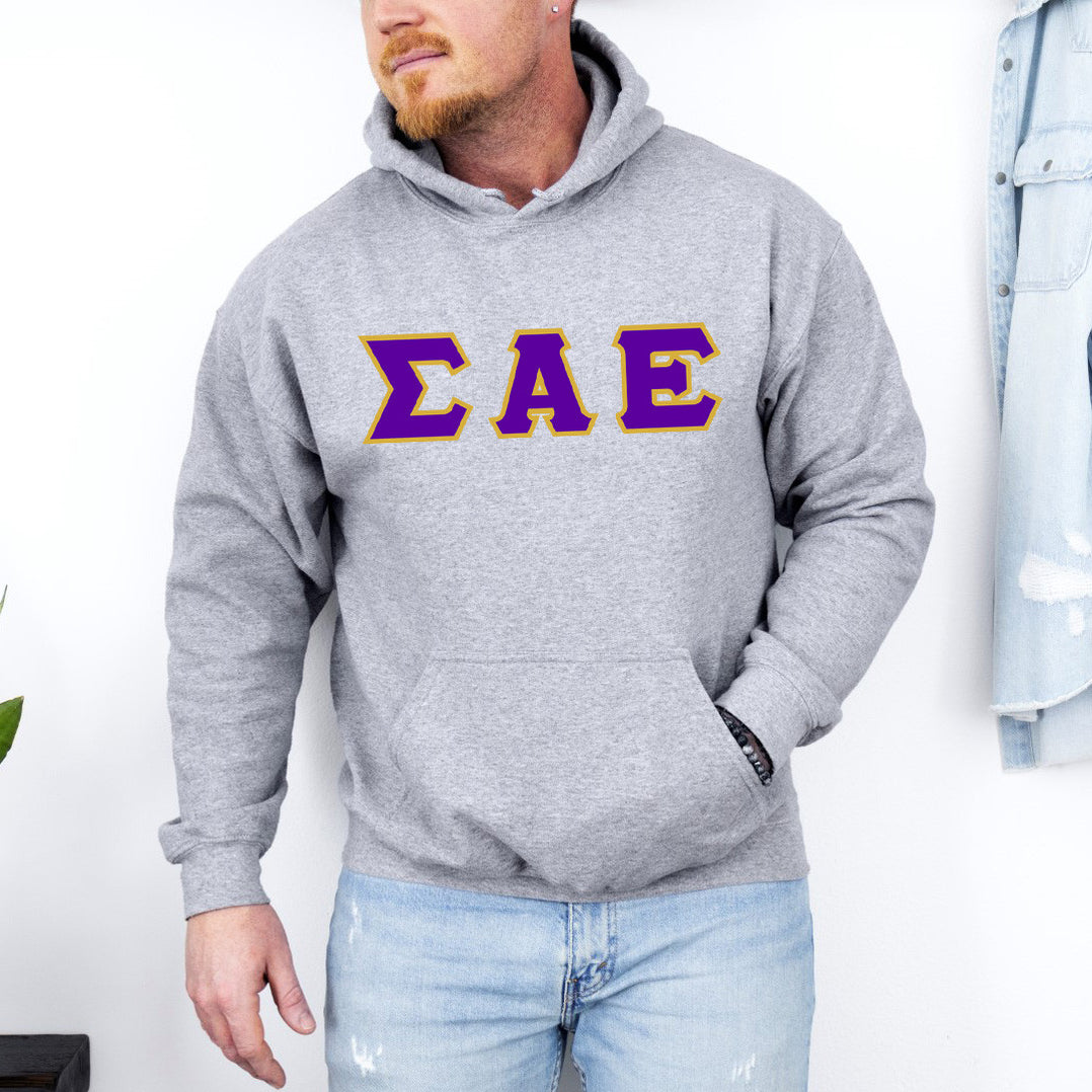 Sigma Alpha Epsilon Lettered Hoodie — GreekU